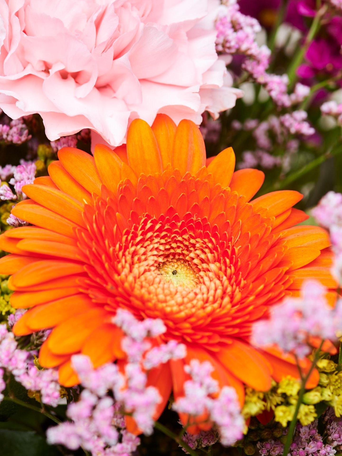 Blumen online verschicken | BLOOMY DAYS Blumenversand