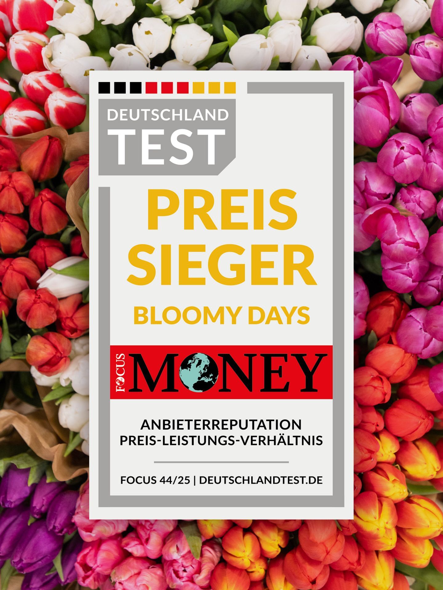 Frische Blumen bestellen & verschicken | BLOOMY DAYS Versand