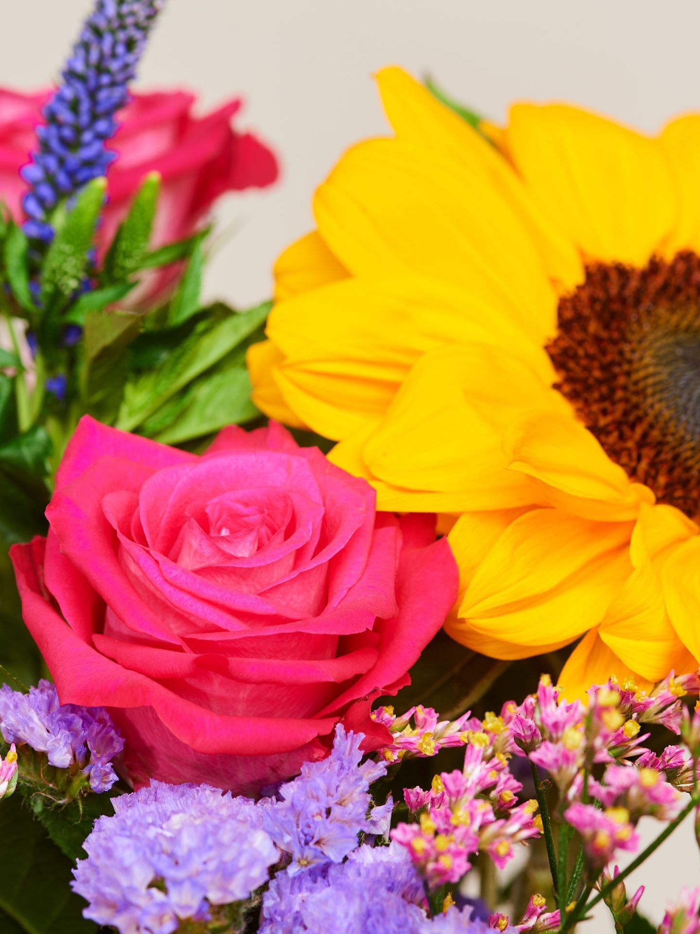 Frische Blumen bestellen & verschicken | BLOOMY DAYS Versand