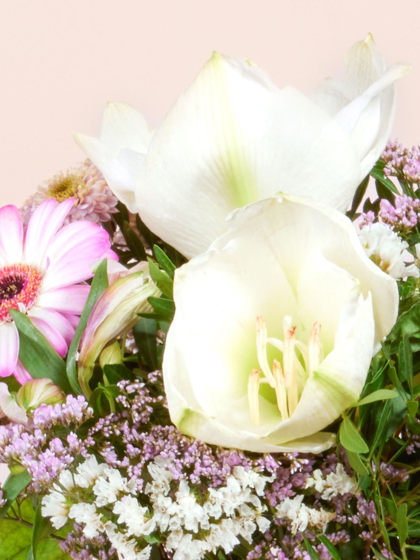 Blumen bestellen | Blumenversand BLOOMY DAYS