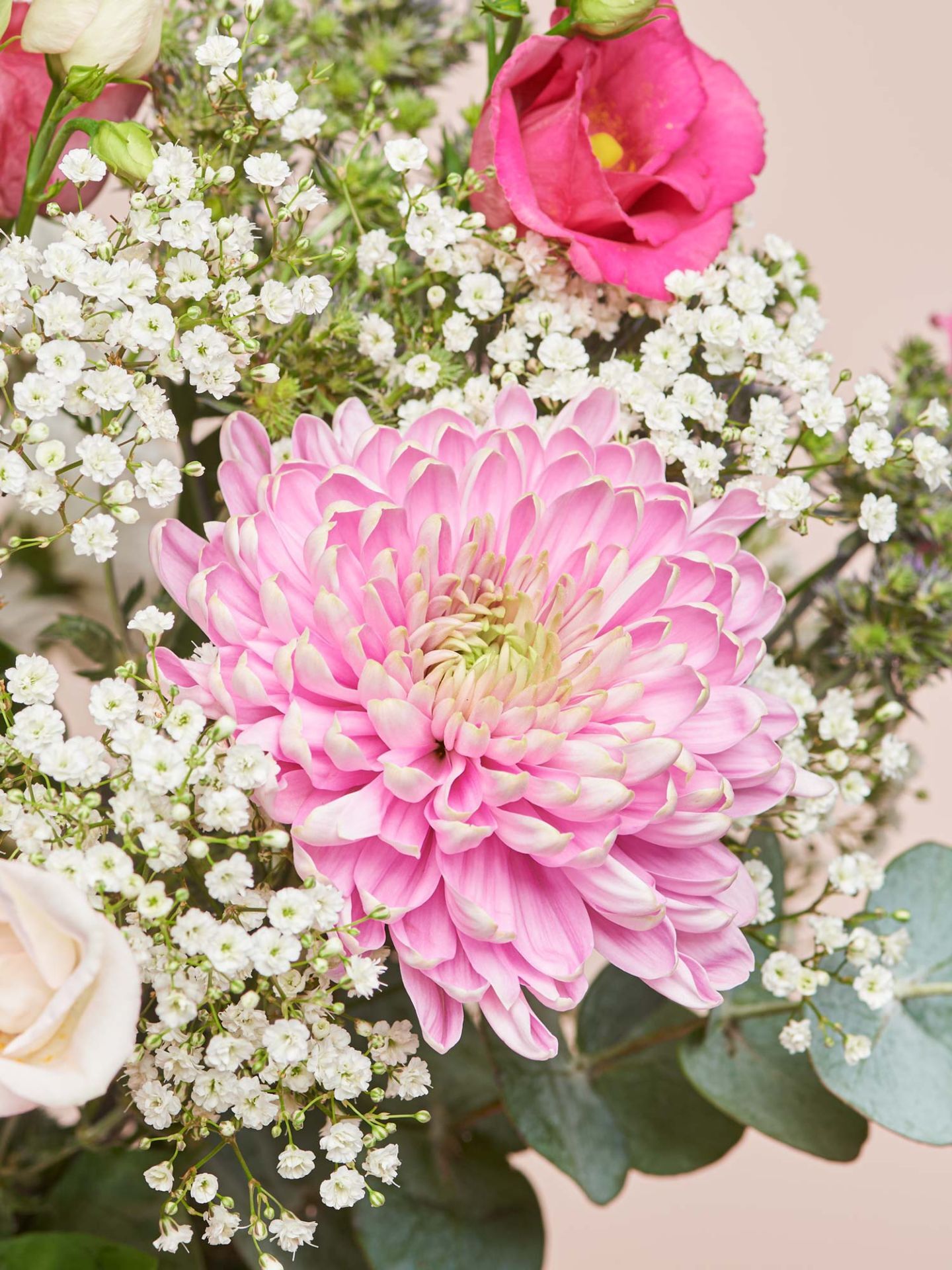 Blumen bestellen | Blumenversand BLOOMY DAYS